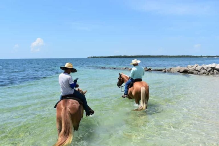 horsebackridingmiami.com